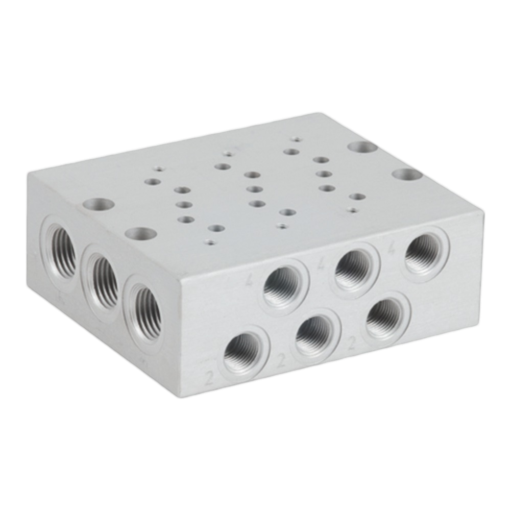 Pneumax 818.10 Manifold 10 Ports
