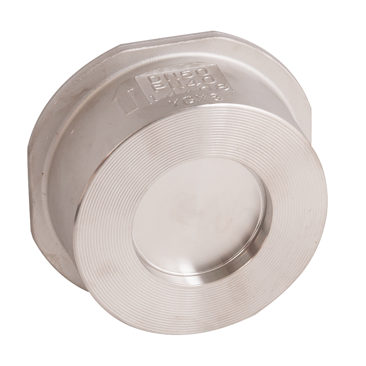 FT Pro - 2026 09 2" PN16/ASA150 SS Wafer Disc Check Valve